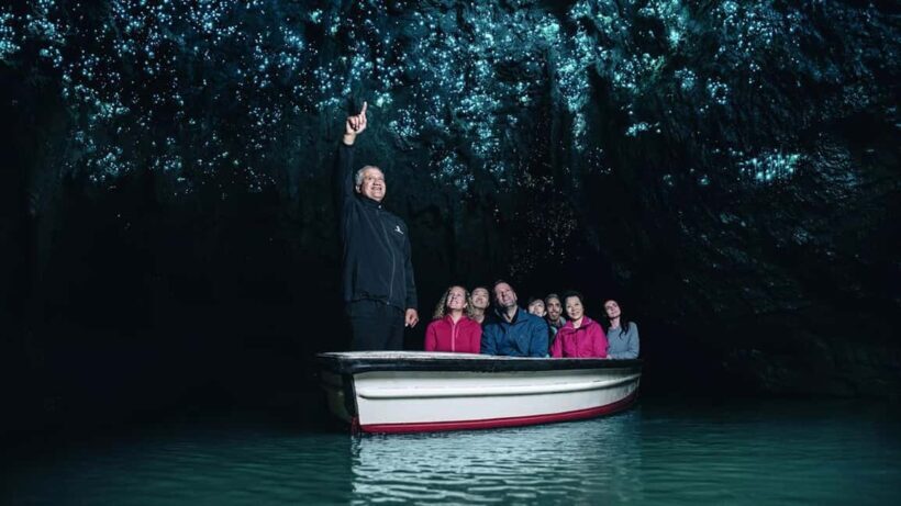 Auckland: One-Way Tour to Rotorua with Waitomo Caves - How the Experience Comes to Life