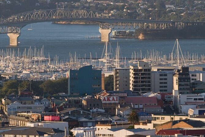 Auckland Private City Tour. Cruise port or Hotel pick up. - In-Depth Look at the Tour Experience
