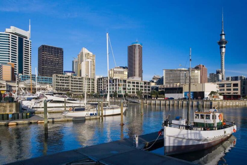 Auckland: Private City Tour with Mount Victoria and Mt. Eden - Key Points