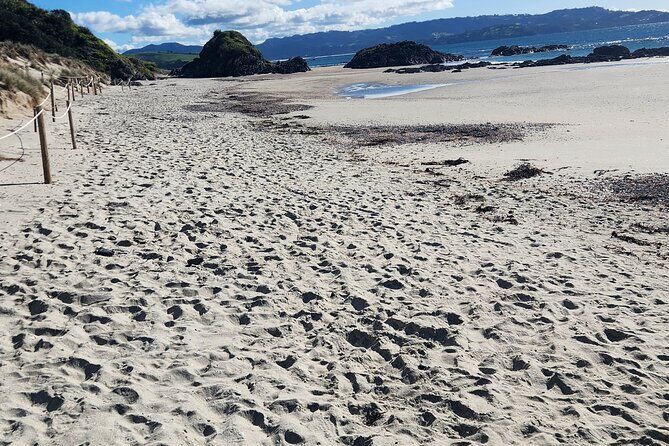 Auckland Private Custom Journeys in Luxury - FAQs
