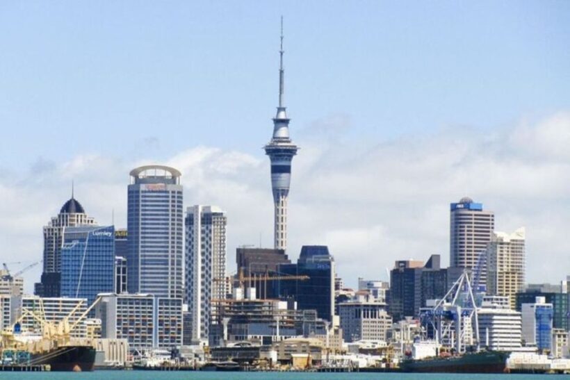 Auckland: Private Customizable Walking Tour with Local Guide - An In-Depth Look at the Auckland Private Tour Experience