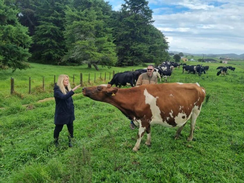 Auckland: Private Farm Tour with Sheep Shearing & Lunch - The Experience — More Than Just a Farm Visit