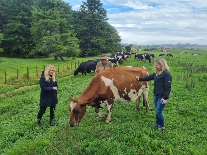 Auckland: Private Farm Tour with Sheep Shearing & Lunch - Who Will Love This Tour?