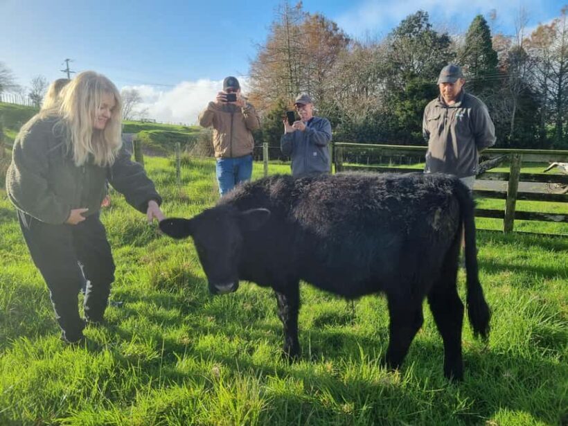 Auckland: Private Farm Tour with Sheep Shearing & Lunch - Final Thoughts