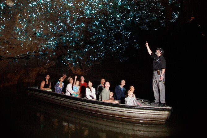 Auckland Private Hobbiton Movie Set and Waitomo Caves Day Tour - Who Will Love This Tour?