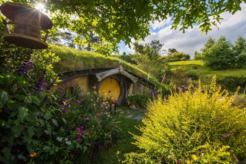 Auckland: Private Hobbiton Movie Set & Waitomo Caves Tour - Introduction