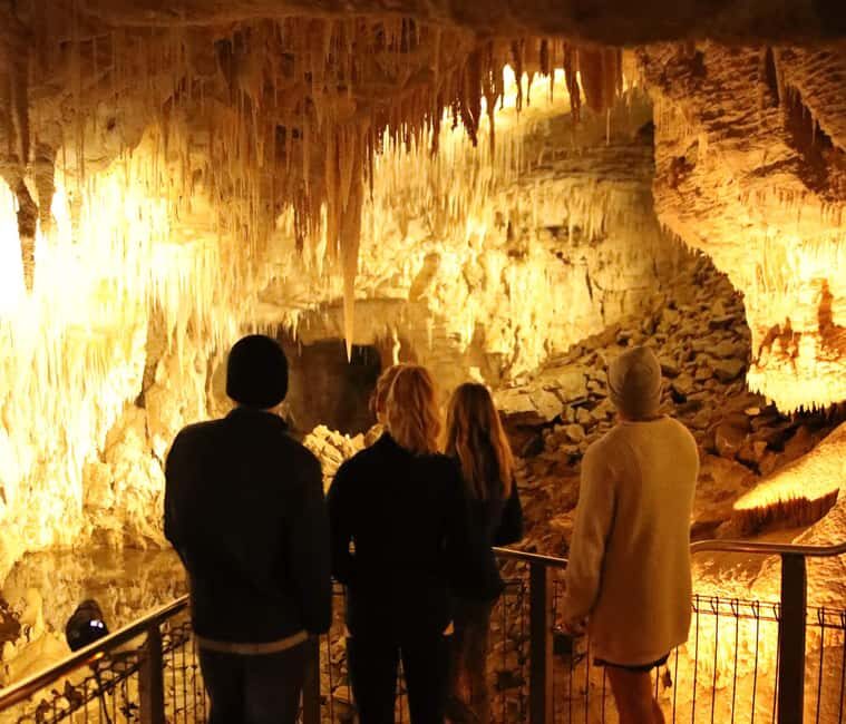 Auckland: Private Tour to Waitomo & Te Puia Valley - Why This Tour Offers Great Value