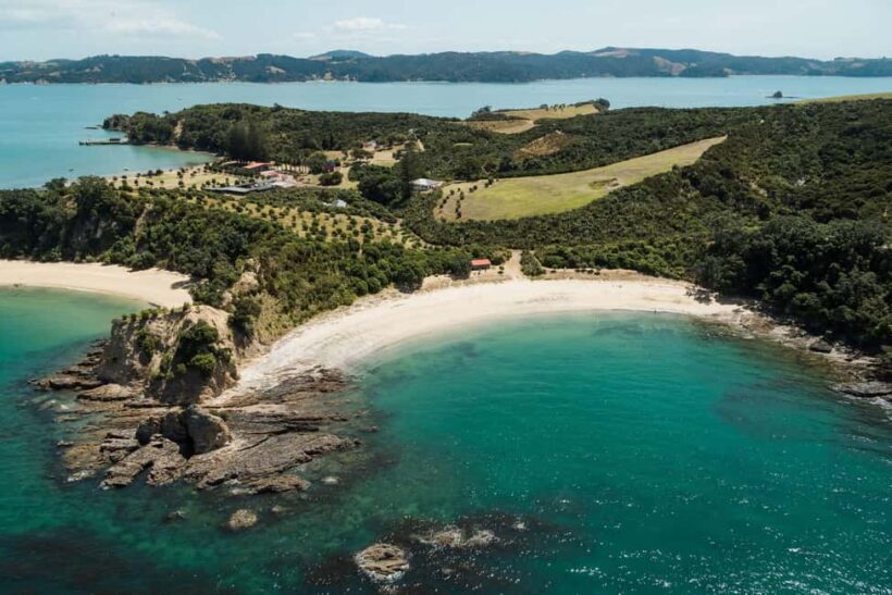 Auckland: Rotoroa Island and Man O'War Vineyard Combo Tour - A Detailed Look at the Tour Experience