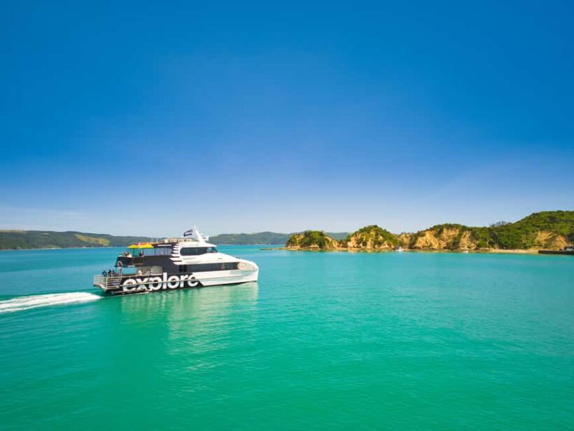 Auckland: Rotoroa Island and Man O'War Vineyard Combo Tour - Who Will Love This Tour?