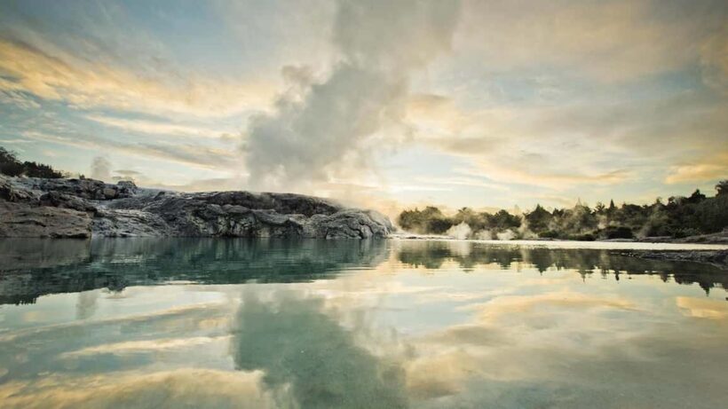 Auckland: Rotorua Highlights inc Te Puia Tour & Redwoods - Strolling Among the Redwoods: A Towering Experience