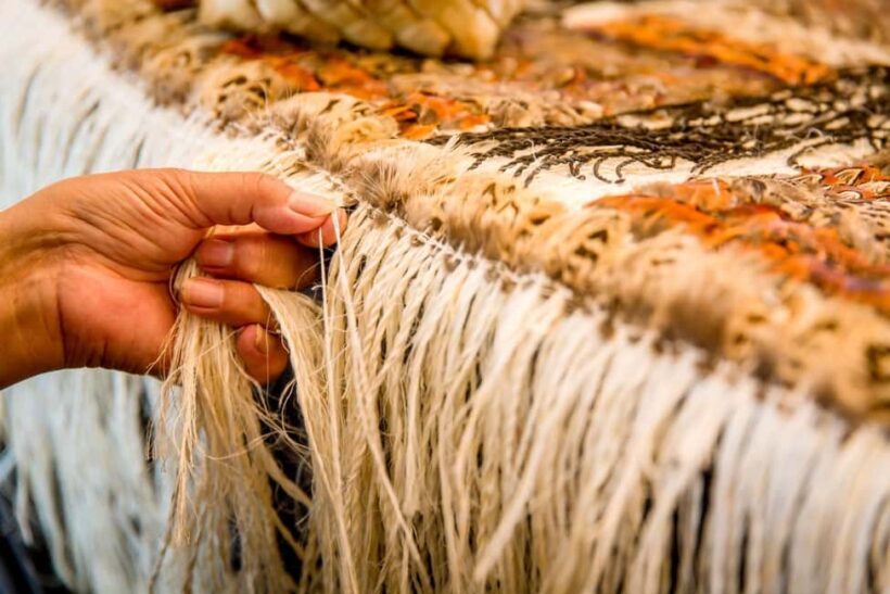 Auckland: Rotorua Highlights inc Wai O Tapu & Te Puia Tour - The Journey Begins: From Auckland to Rotorua