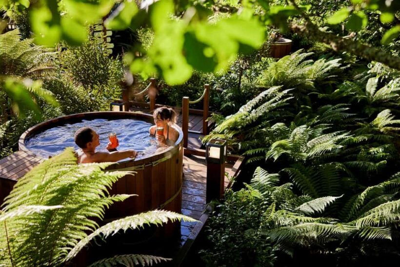 Auckland: Rotorua Highlights w Redwoods Treewalk & Hot Tubs - Who Would Love This Tour?