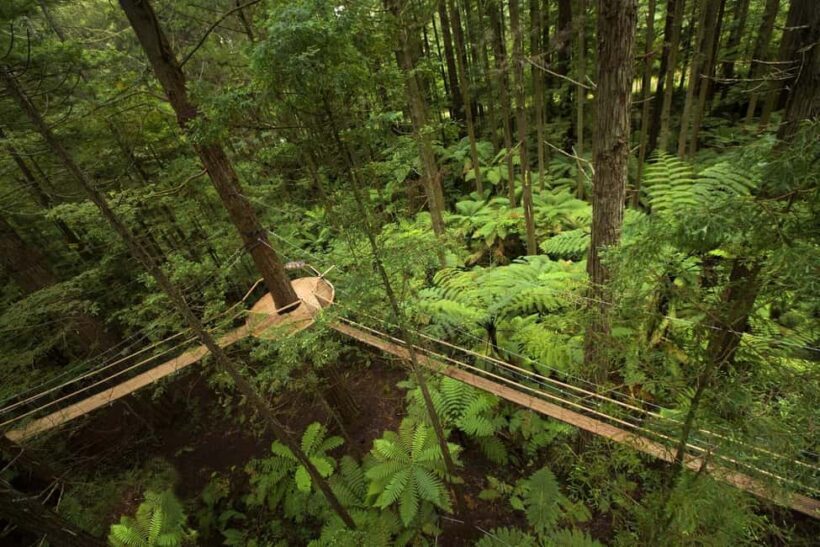 Auckland: Rotorua Highlights with Redwoods Treewalk & Spa - The Itinerary in Detail