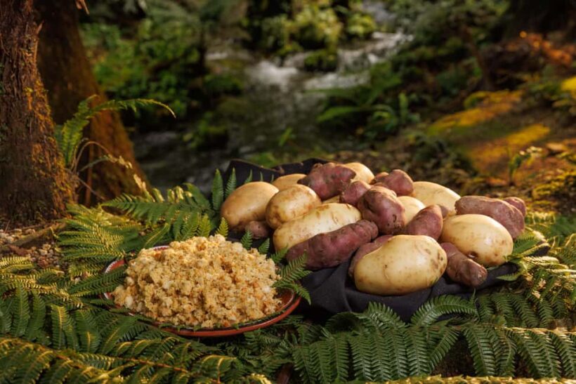 Auckland: Rotorua Mori Cultural & Geothermal Tour & Lunch - Practical Tips for Your Trip