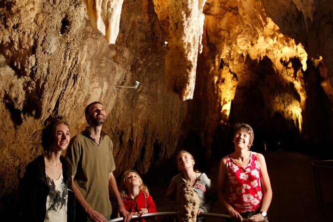 Auckland: Rotorua Mori Village w Haka & Waitomo Caves Day Tour - FAQs
