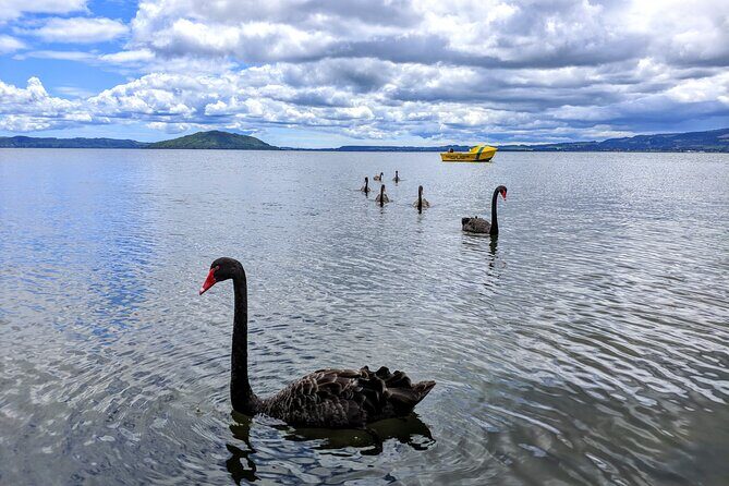 Auckland: Rotorua, Taupo, Waiotapu & Huka Falls Private Trip - The Guide — The Real Highlight?