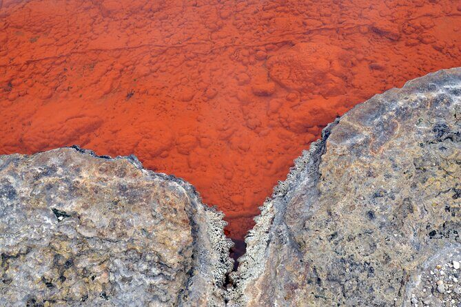 Auckland: Rotorua Tour with Waiotapu, Te Puia and Maori Haka - FAQs