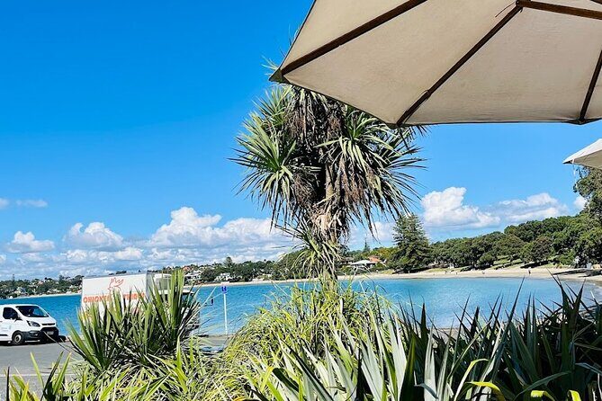 Auckland Scenic City TourTasting NZ Wines + Food onboard the bus - Why the Stops Matter