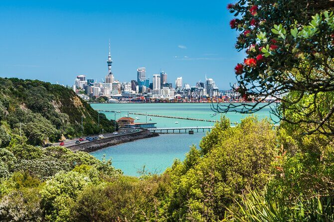 Auckland Scenic City TourTasting NZ Wines + Food onboard the bus - Wine Tasting with a Local Expert