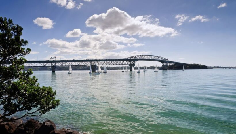 Auckland Scenic Half-Day City Sightseeing Tour - Why Consider This Tour?