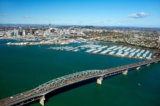 Auckland Shore Excursion: Half-Day Guided City Tour - Introduction: Why This Tour Might Just Be Perfect for You