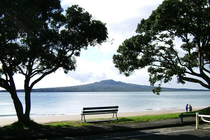 Auckland Shore Excursion: Half-Day Guided City Tour - The Sum Up: Is This Tour Right for You?