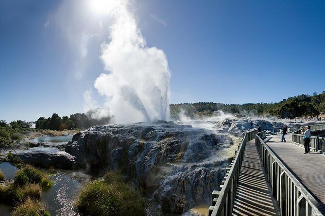 Auckland Sights Exclusive 4 Hour Luxury Day Tour - What Makes This Tour Stand Out?
