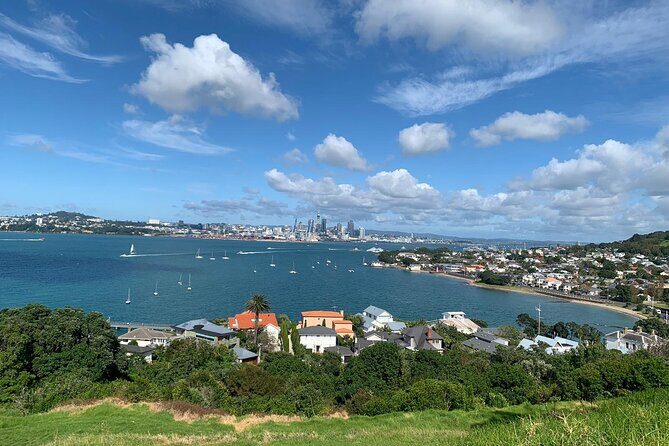 Auckland Sightseeing Half Day Tour - A Practical Overview of the Auckland Sightseeing Half Day Tour