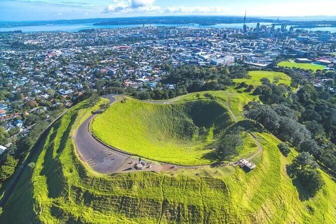 Auckland Sightseeing TourPrivate Full Day/Half Day Driver+Tesla - A Closer Look at the Itinerary