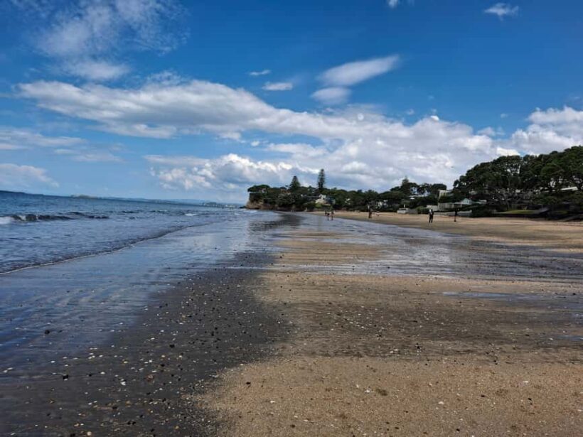 Auckland: Sunday markets & seaside stroll - Why This Tour Offers Real Value