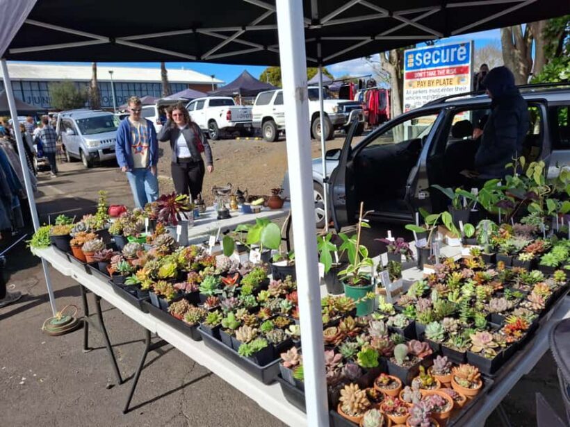 Auckland: Sunday markets & seaside stroll - Frequently Asked Questions