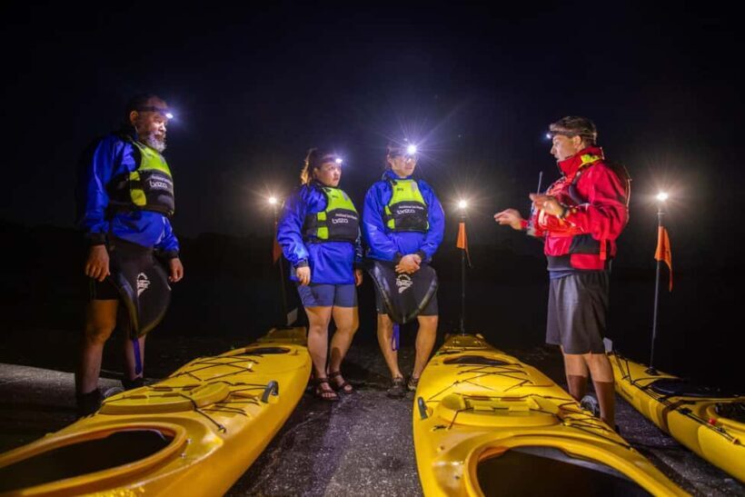 Auckland: Sunset & Night Sea Kayak Tour to Rangitoto Island - Key Points