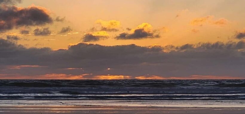 Auckland: Sunset Tour with Thermal pool & Wine Tasting - Who Will Love This Tour?