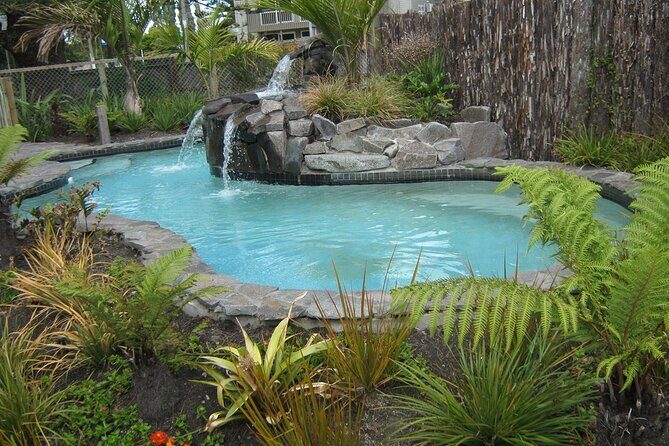 Auckland Thermal Pool and Muriwai Beach Sunset Day tour - An Overview of the Tour Experience