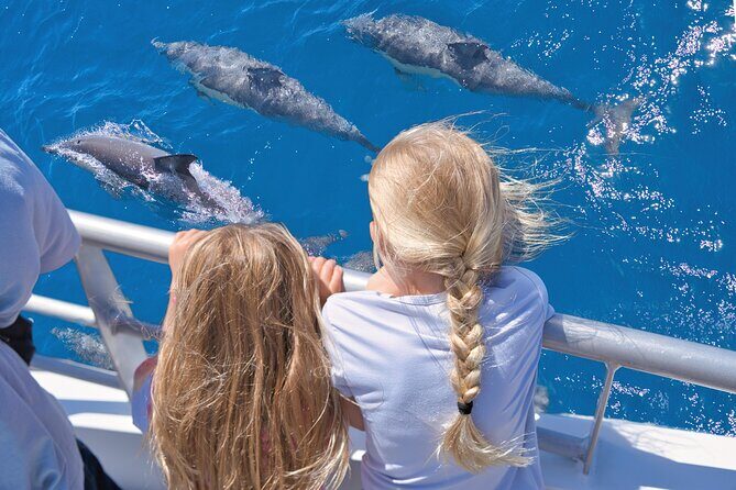 Auckland: Tikapa Moana Dolphin, Whale and Island Cruise - Introduction