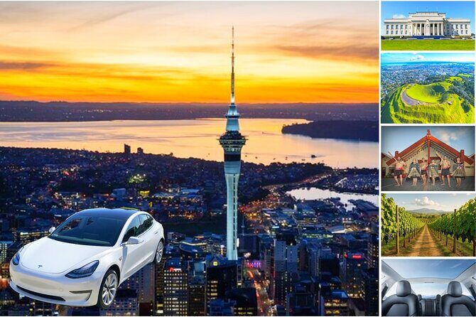 Auckland: Tikapa Moana Dolphin, Whale and Island Cruise - The Sum Up
