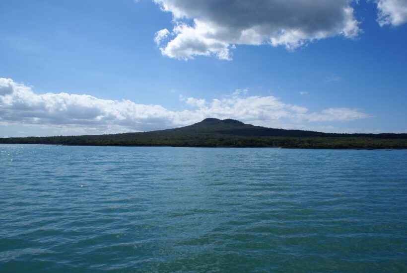 Auckland: Tikapa Moana Whales, Dolphins and Islands Cruise - A Closer Look at the Experience
