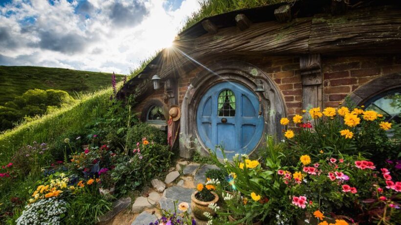Auckland to Rotorua via Hobbiton One Way Small Group Tour - Key Points