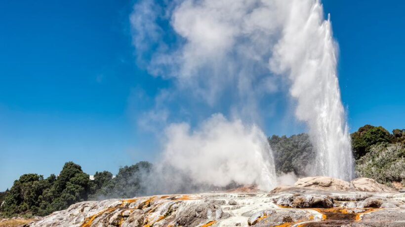 Auckland to Rotorua via Hobbiton One Way Small Group Tour - Who Will Love This Tour?