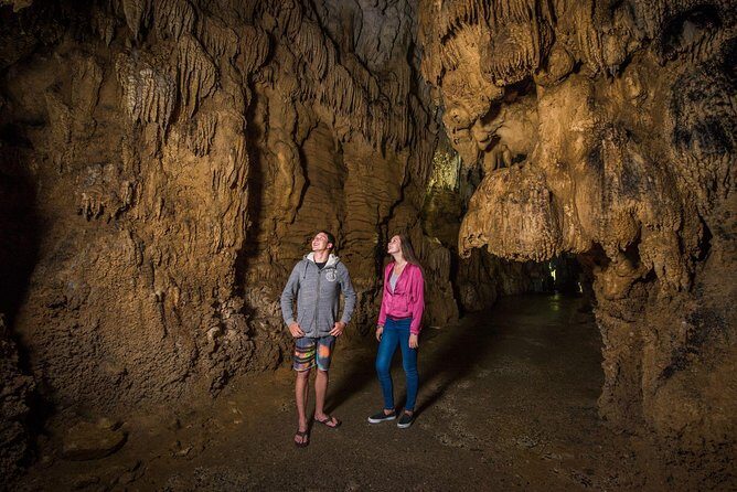 Auckland to Rotorua via Waitomo Caves Small Group Tour (One Way) - Final Thoughts: Is This Tour Worth It?