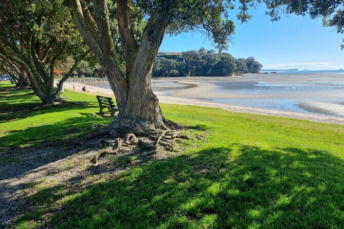 Auckland Town and Country Delights Tour - Key Points