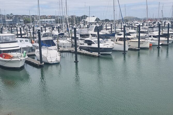 Auckland Town and Country Delights Tour - The Sum Up