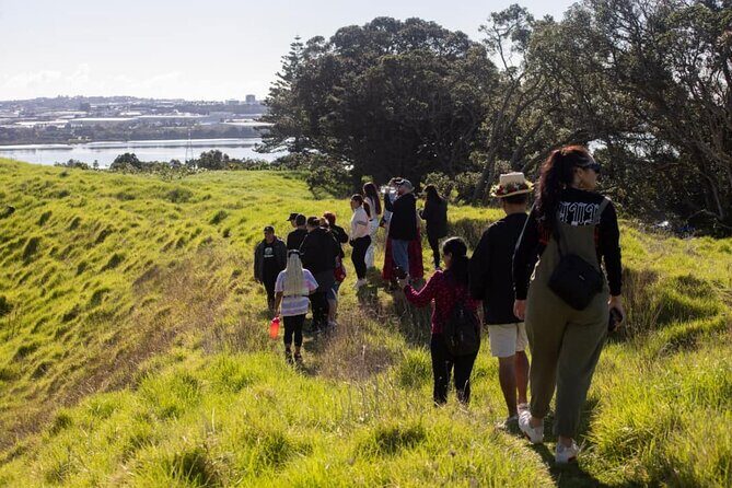 Auckland Urban Mori Experience - Small Group Tour In Auckland - Transportation and Practical Considerations