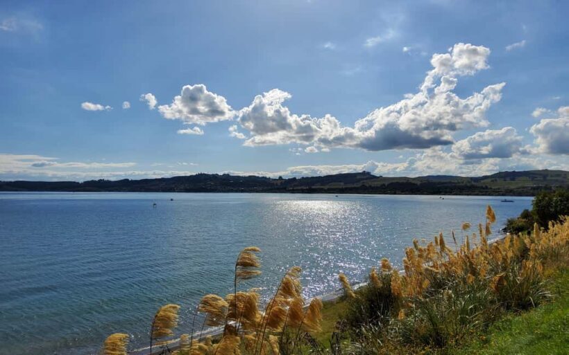 Auckland: Wai-O-Tapu and Lake Taupo Private Day Tour - What Past Travelers Say