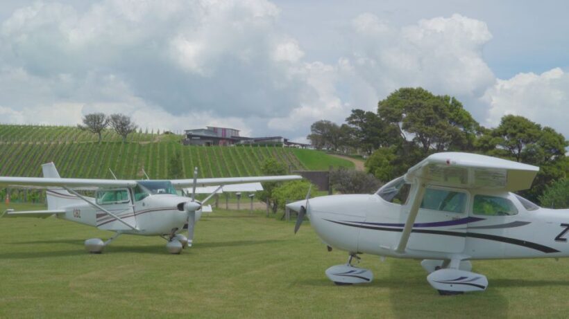 Auckland: Waiheke Island Wine and Food Tasting with Flights - Key Points