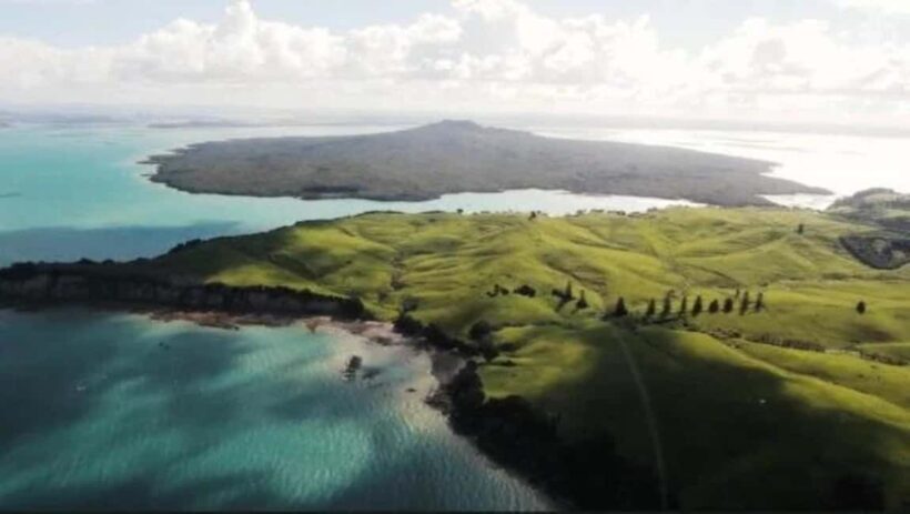 Auckland: Waiheke Island Wine and Food Tasting with Flights - The Scenic Flight: More Than Just Transportation