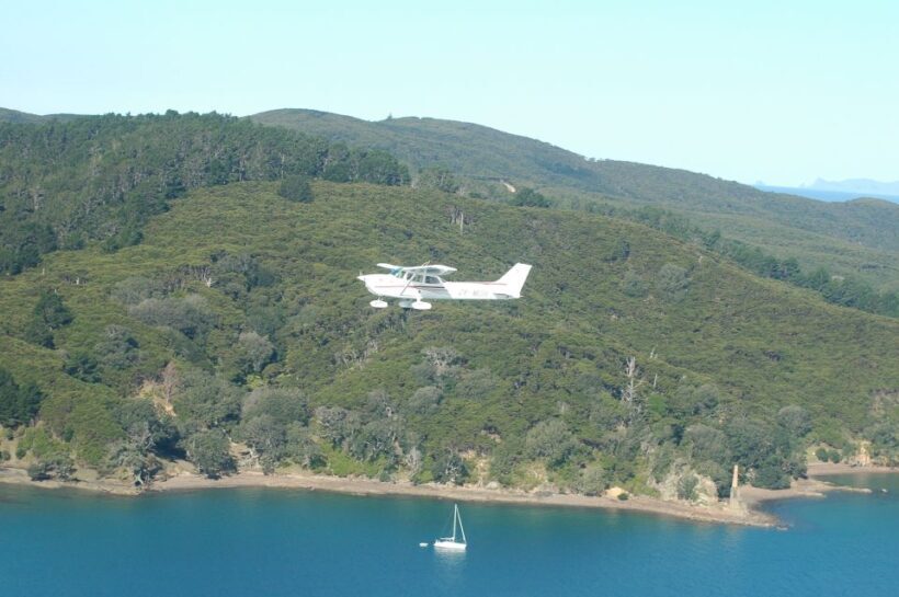 Auckland: Waiheke Island Wine and Food Tasting with Flights - Authentic Experiences and Traveler Feedback