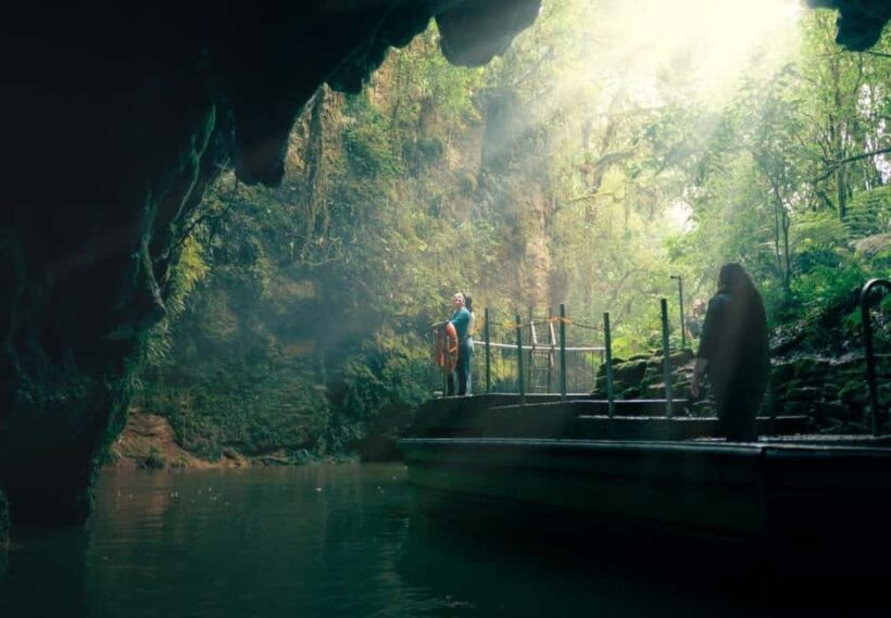 Auckland: Waitomo Caves & Rotorua - Te Puia Small-Group Tour - The Guides & Atmosphere