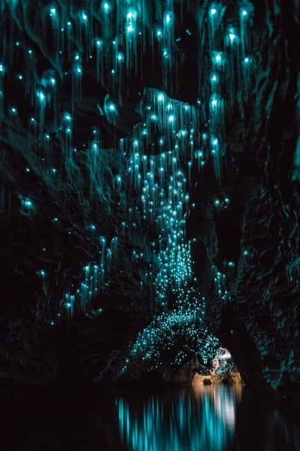 Auckland: Waitomo Caves & Rotorua - Te Puia Small-Group Tour - FAQ