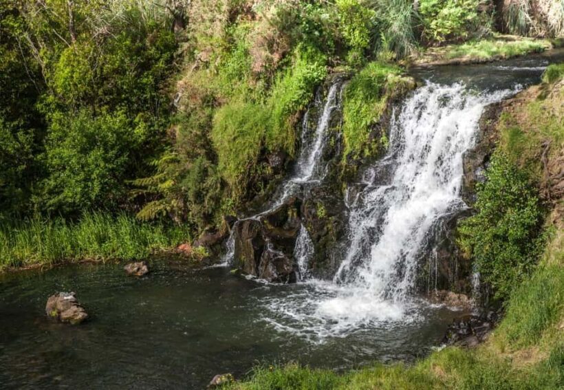 Auckland Waterfall Tour - The Journey Begins at Mt Albert Station